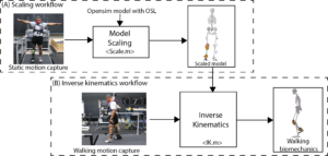 OpenSim Open-source leg models - EPIC Lab at Georgia Tech