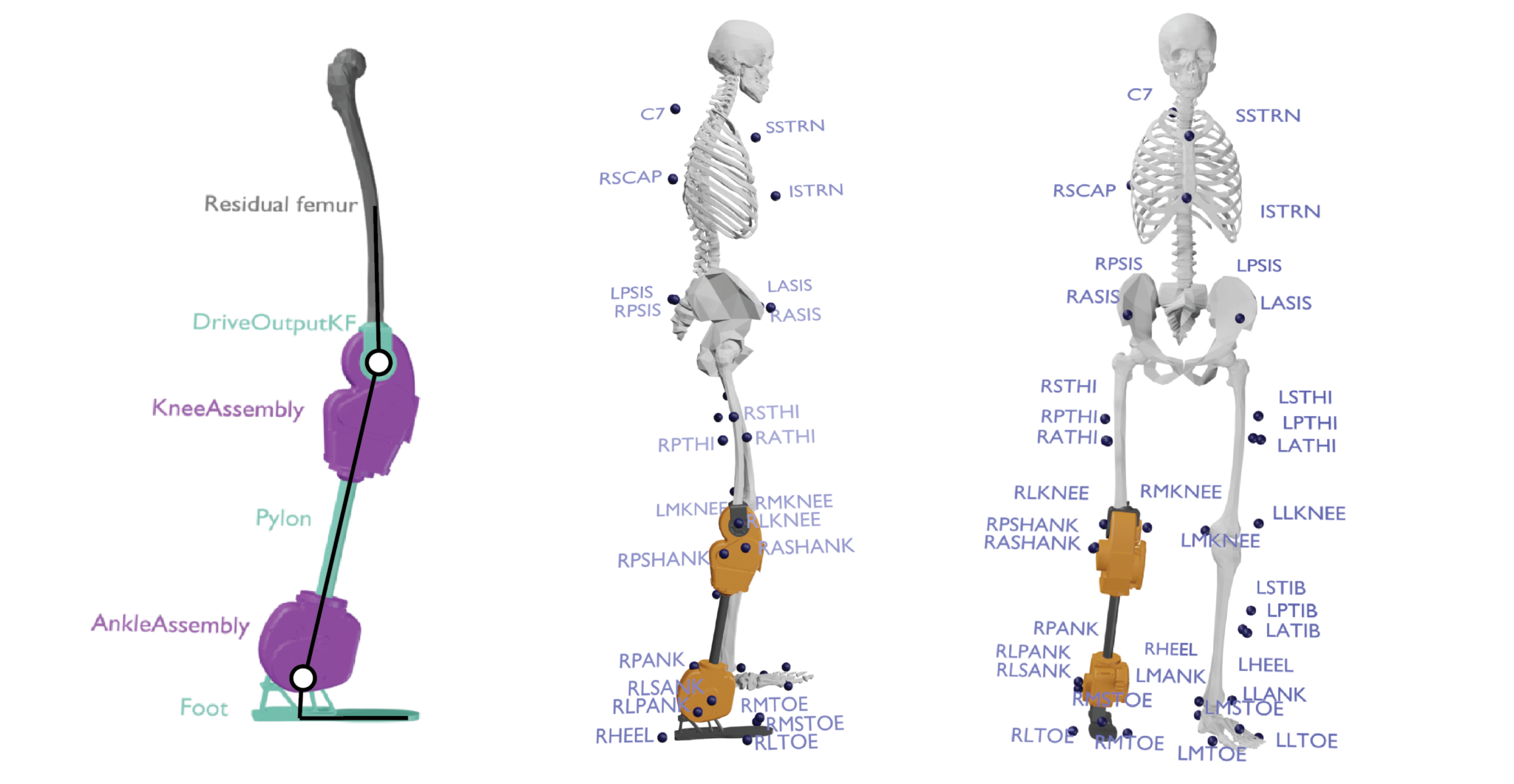 Open-Source Data & Models