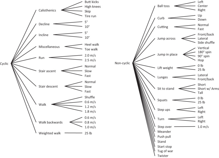 A human lower-limb biomechanics and wearable sensors dataset during ...