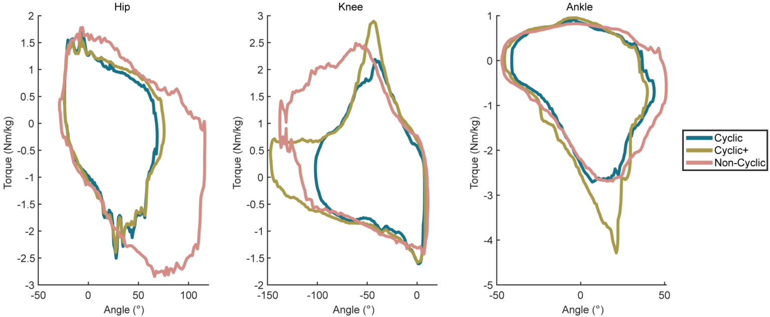A human lower-limb biomechanics and wearable sensors dataset during ...